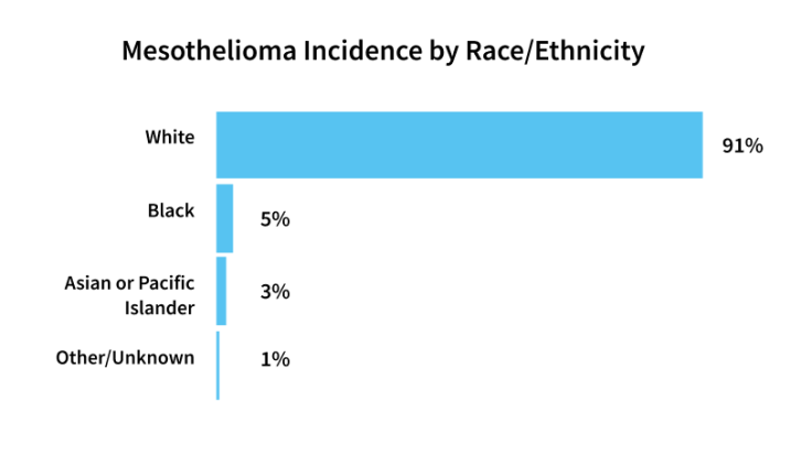Mesothelioma Statistics: Key Mesothelioma Facts & Statistics