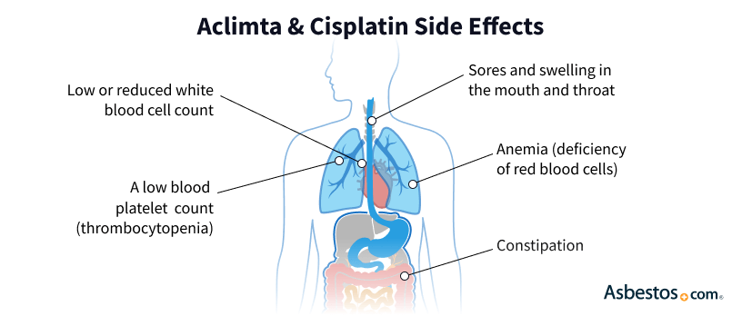 Alimta for Mesothelioma | Side Effects & Survival Rates